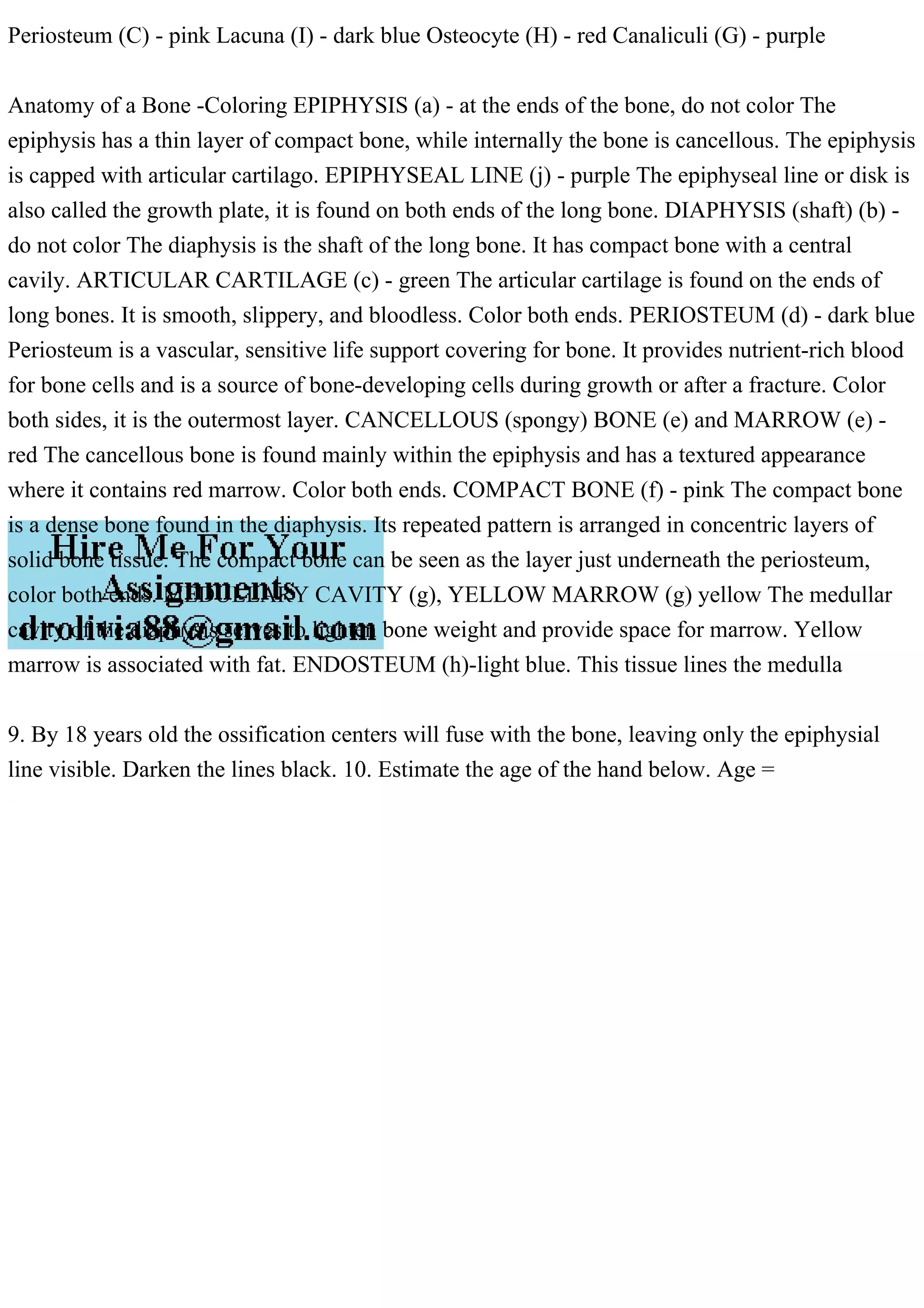 2. Second picture color the anatomy of the bone3. thi.pdf