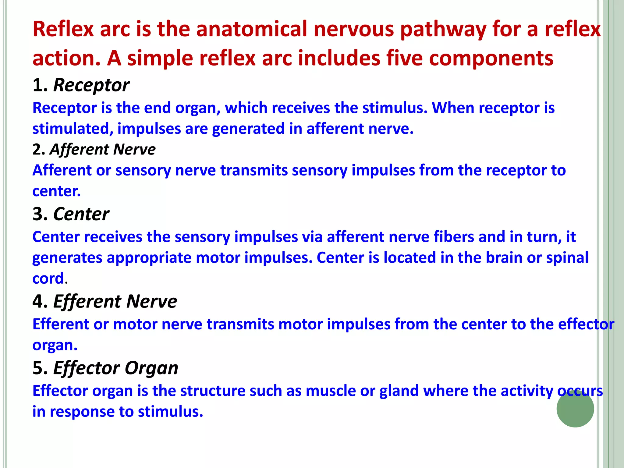 2.Reflex Activity.ppt