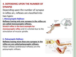 2.Reflex Activity.ppt