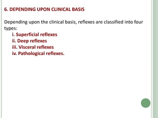 2.Reflex Activity.ppt