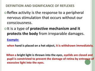 2.Reflex Activity.ppt