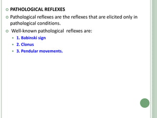 2.Reflex Activity.ppt