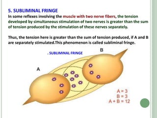 2.Reflex Activity.ppt