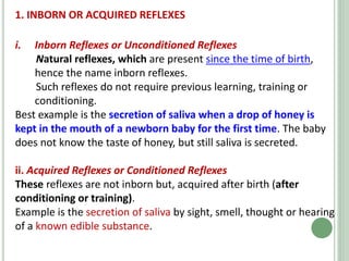 2.Reflex Activity.ppt