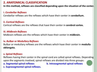 2.Reflex Activity.ppt