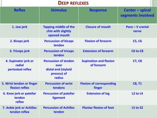 2.Reflex Activity.ppt
