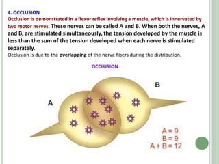 2.Reflex Activity.ppt