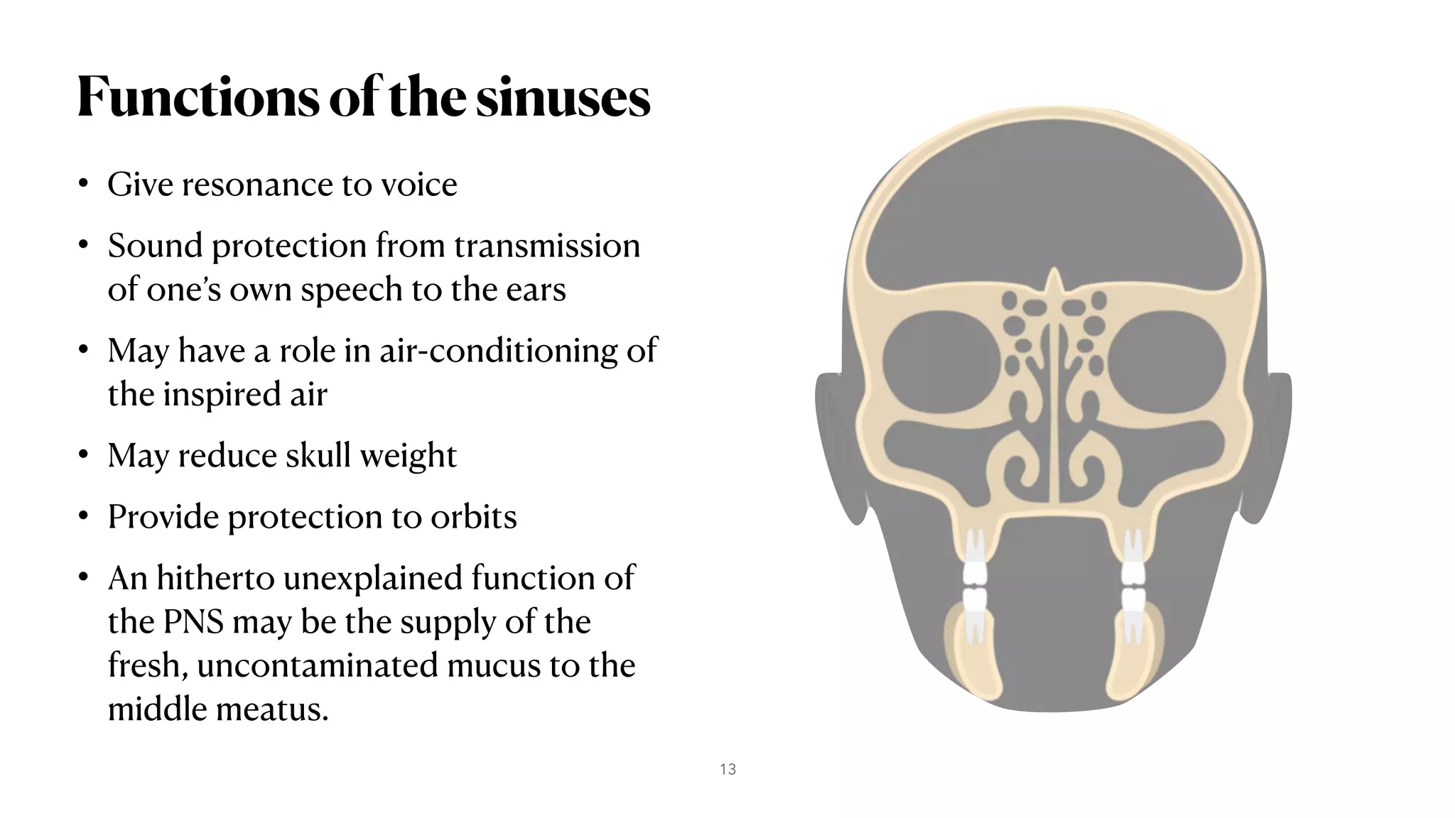 2. Sinuses Pathology 21-22 (1).pdf