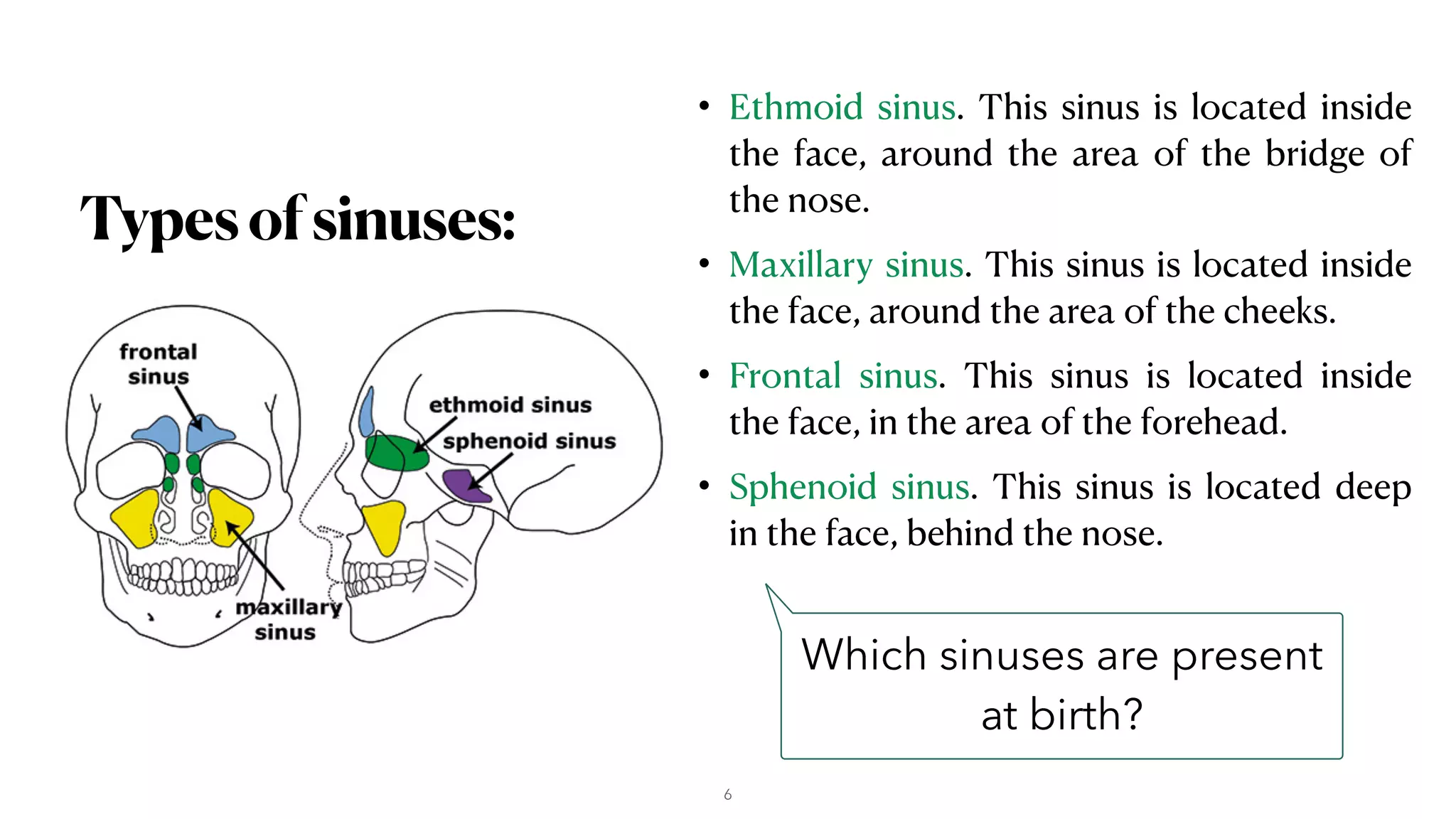 2. Sinuses Pathology 21-22 (1).pdf