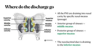 2. Sinuses Pathology 21-22 (1).pdf