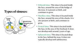 2. Sinuses Pathology 21-22 (1).pdf
