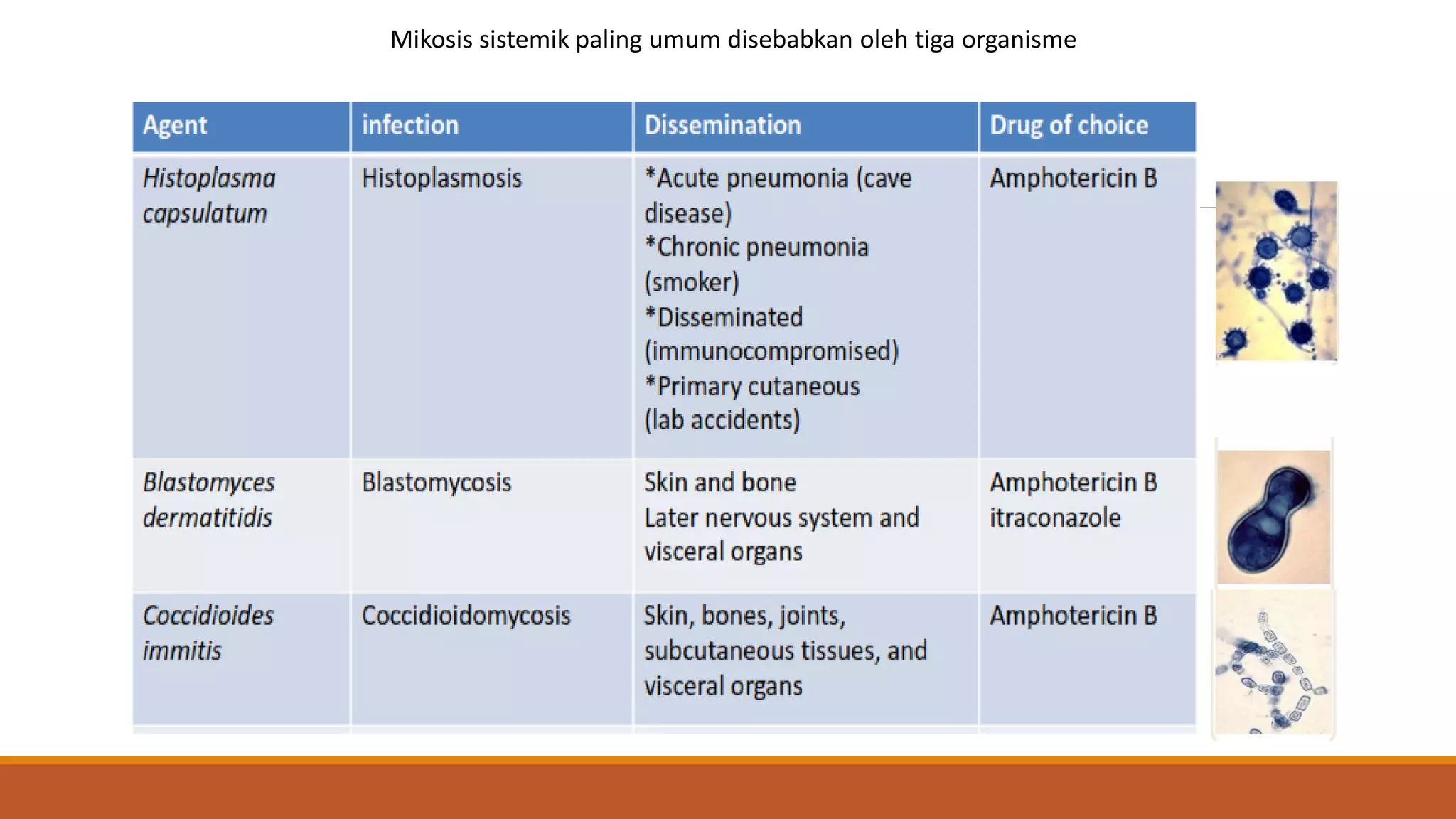2. Endemik Mycoses.pdf