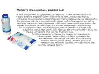 ΟΞΕΑ - ΒΑΣΕΙΣ - ΑΛΑΤΑ - ΦΕ 2.ppt