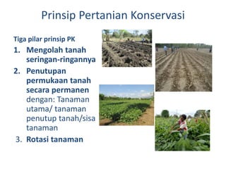 2. Konsep PK.pptx