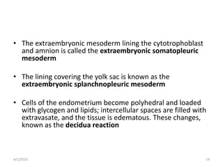 2. Embryology Chapter 3.pptx