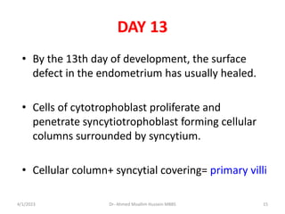 2. Embryology Chapter 3.pptx