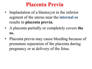 2. Embryology Chapter 3.pptx