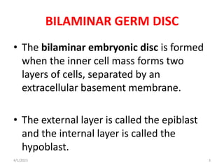 2. Embryology Chapter 3.pptx