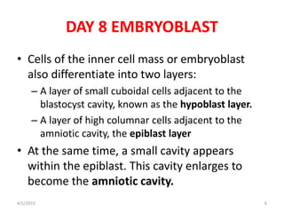 2. Embryology Chapter 3.pptx