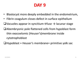 2. Embryology Chapter 3.pptx