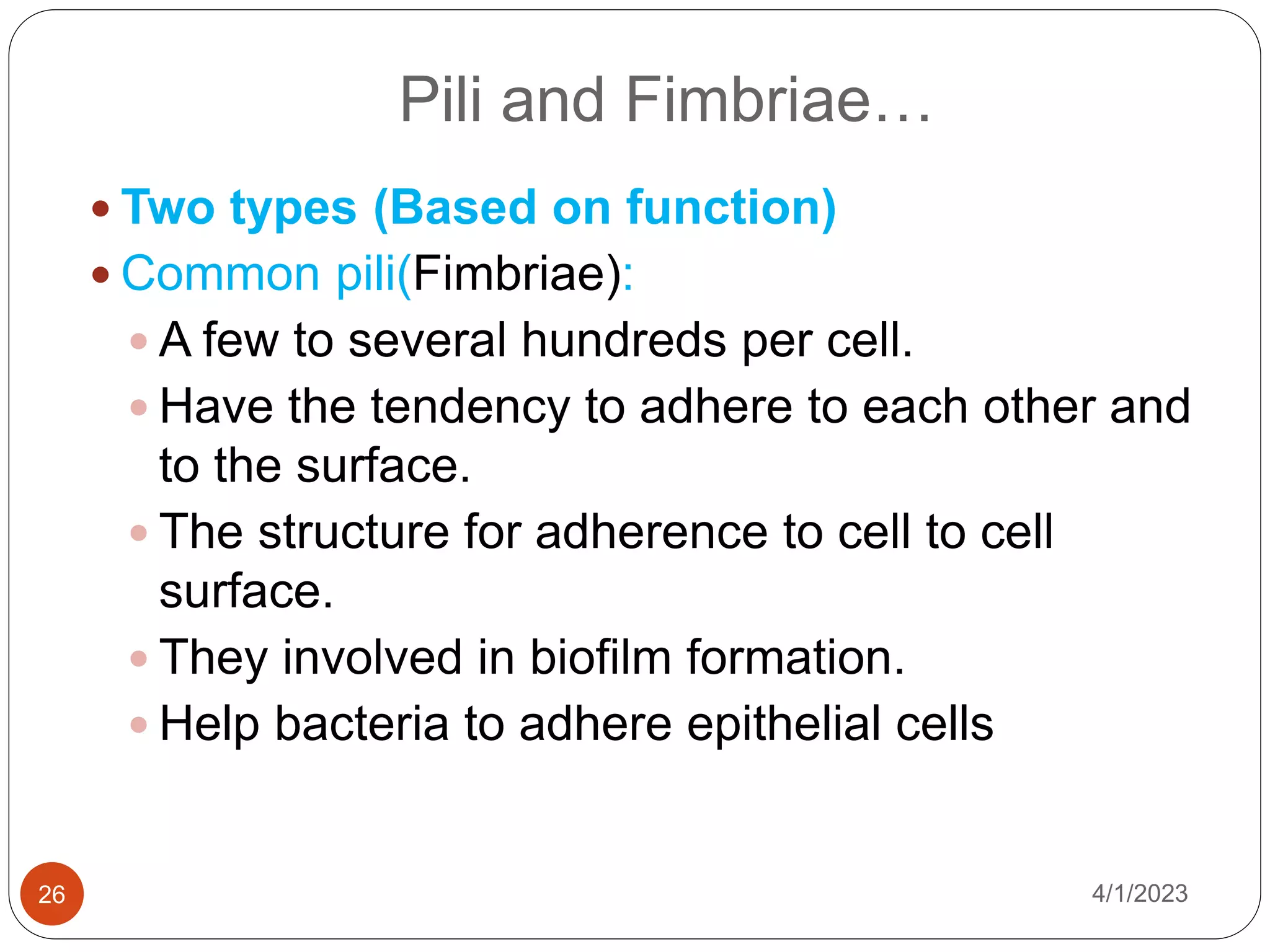 2. Prokaryotic and Eukaryotic cell structure.pptx