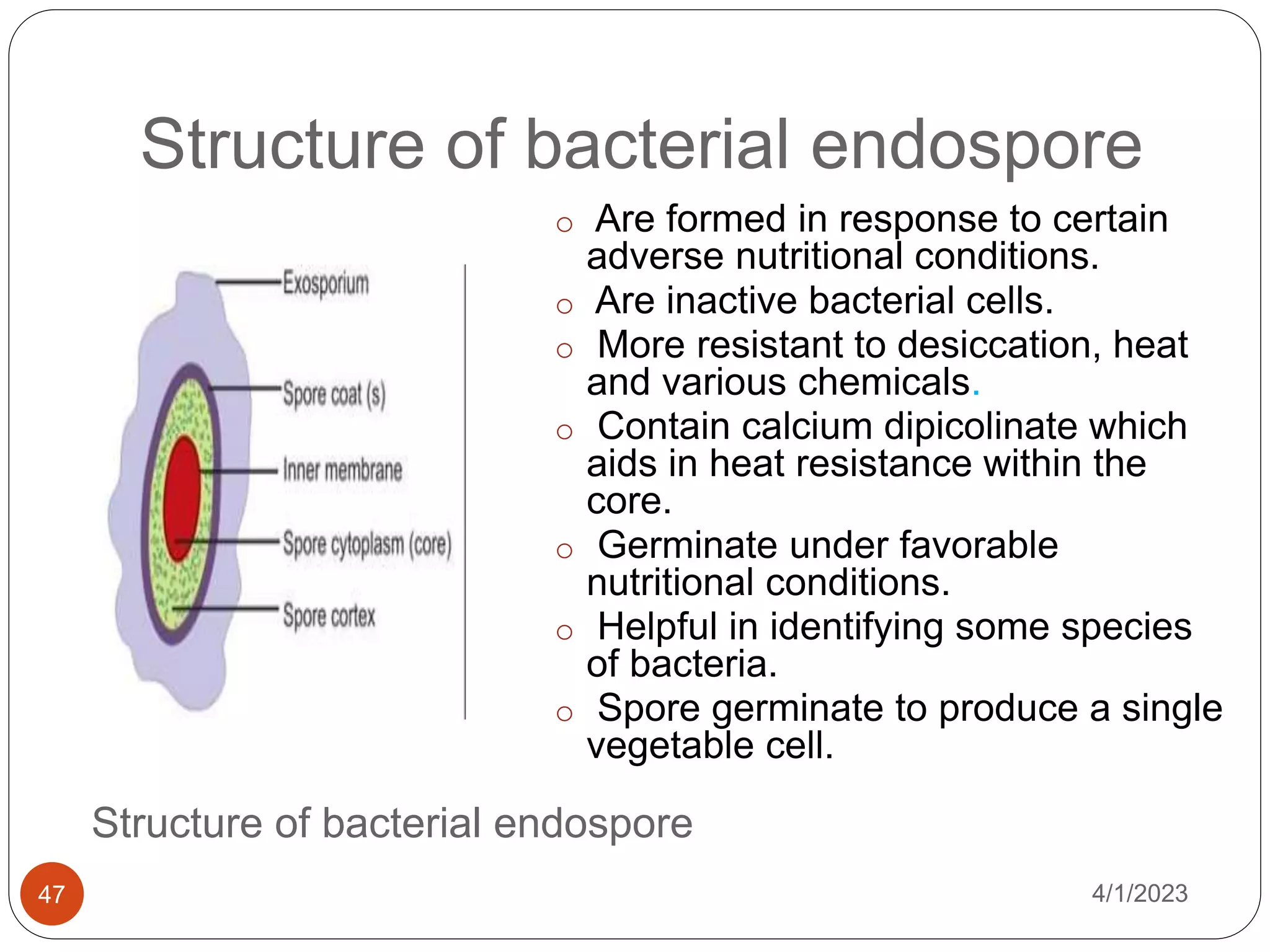 2. Prokaryotic and Eukaryotic cell structure.pptx