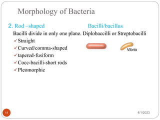 2. Prokaryotic and Eukaryotic cell structure.pptx