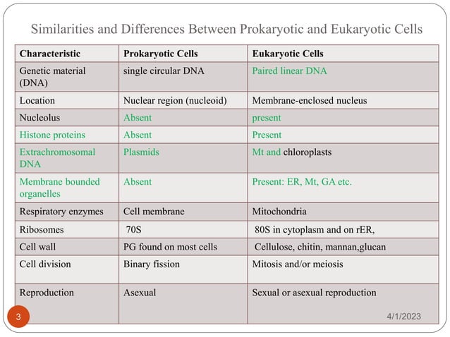 2. Prokaryotic and Eukaryotic cell structure.pptx