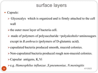2. Prokaryotic and Eukaryotic cell structure.pptx