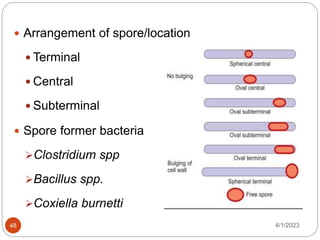 2. Prokaryotic and Eukaryotic cell structure.pptx