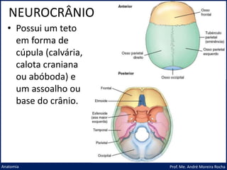 2. Ossos o Crânio.pptx