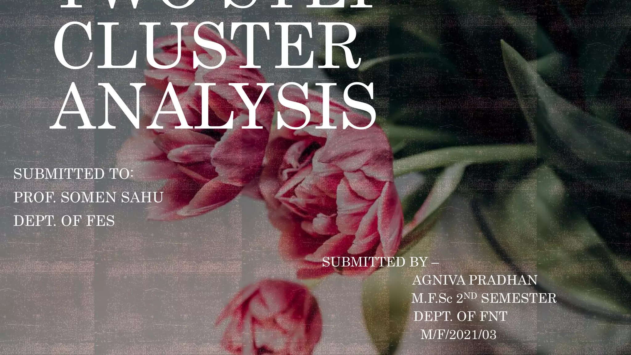 TWO STEP CLUSTER ANALYSIS.pptx