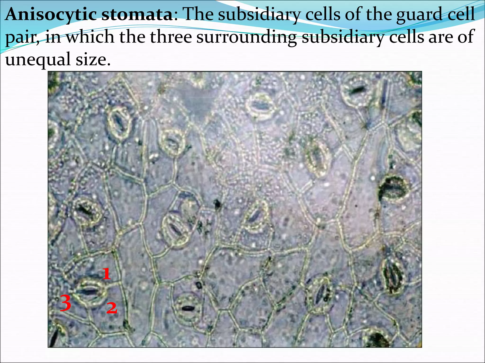 2. method of evaluation.ppt