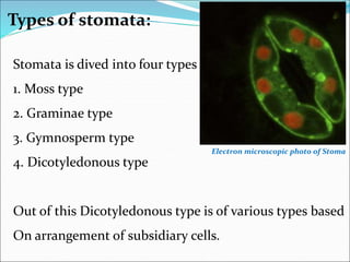2. method of evaluation.ppt