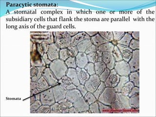 2. method of evaluation.ppt