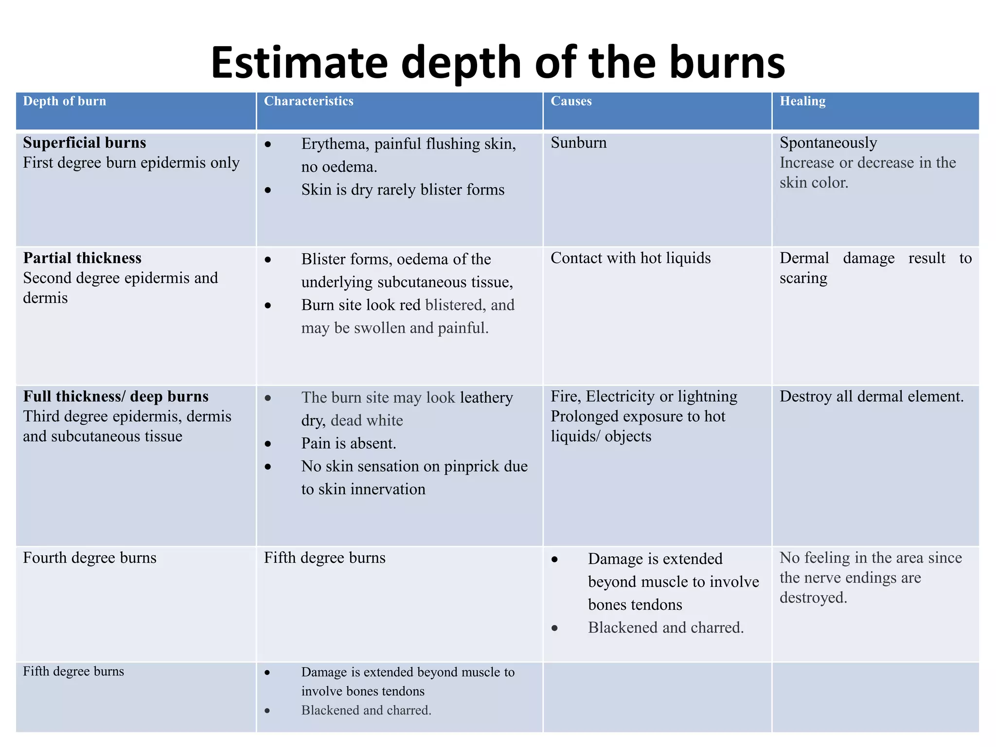2. Burns and cold injuries.ppt