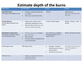 2. Burns and cold injuries.ppt