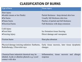 2. Burns and cold injuries.ppt