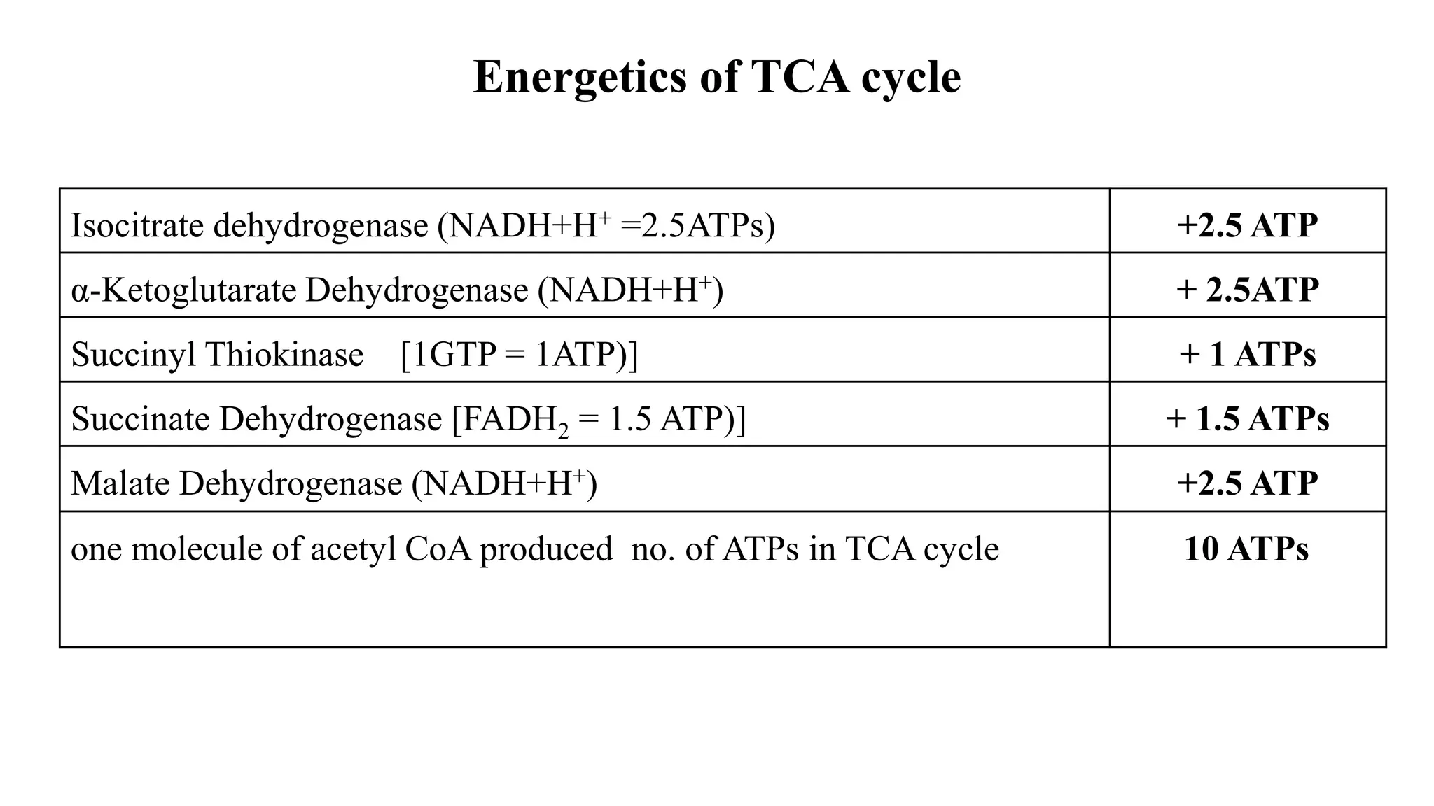 2. TCA cycle and fate of pyruvate & acetyl CoA.pptx