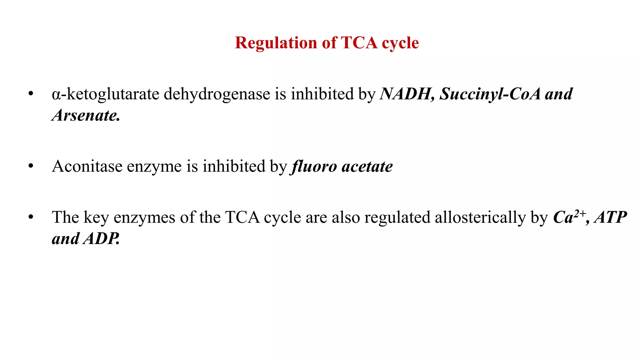 2. TCA cycle and fate of pyruvate & acetyl CoA.pptx