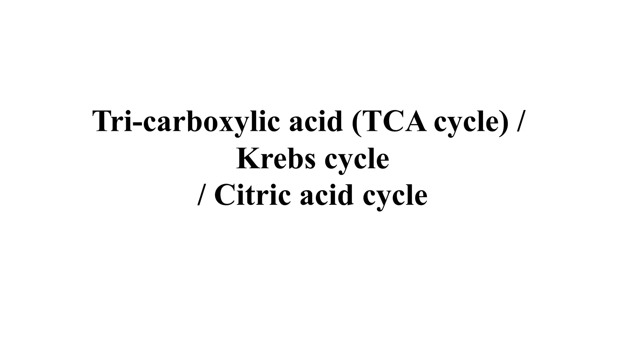 2. TCA cycle and fate of pyruvate & acetyl CoA.pptx
