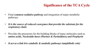 2. TCA cycle and fate of pyruvate & acetyl CoA.pptx