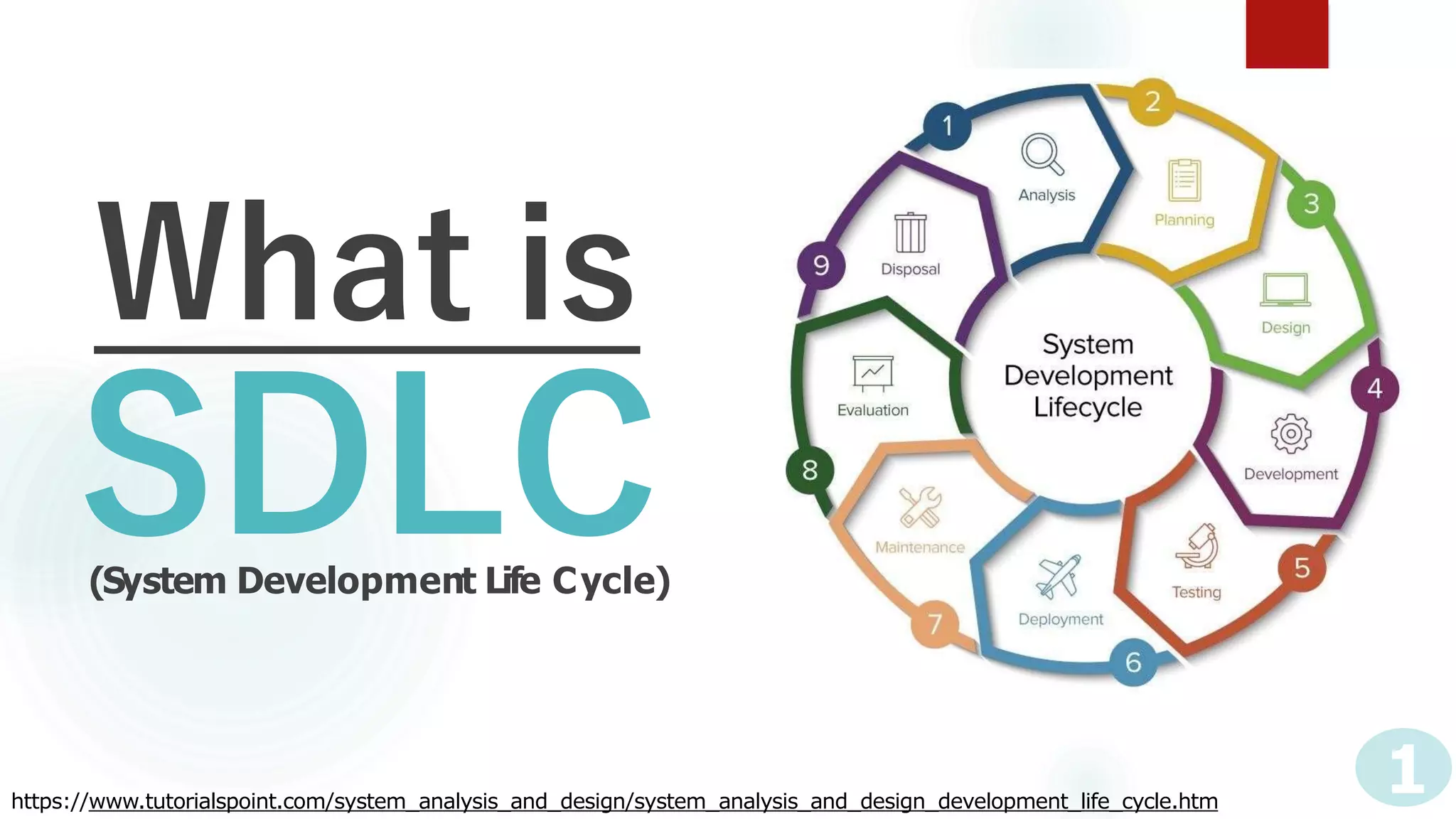 2.-System-Development-Life-Cycle-report.pptx
