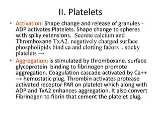 2.-Thrombosis.pptx