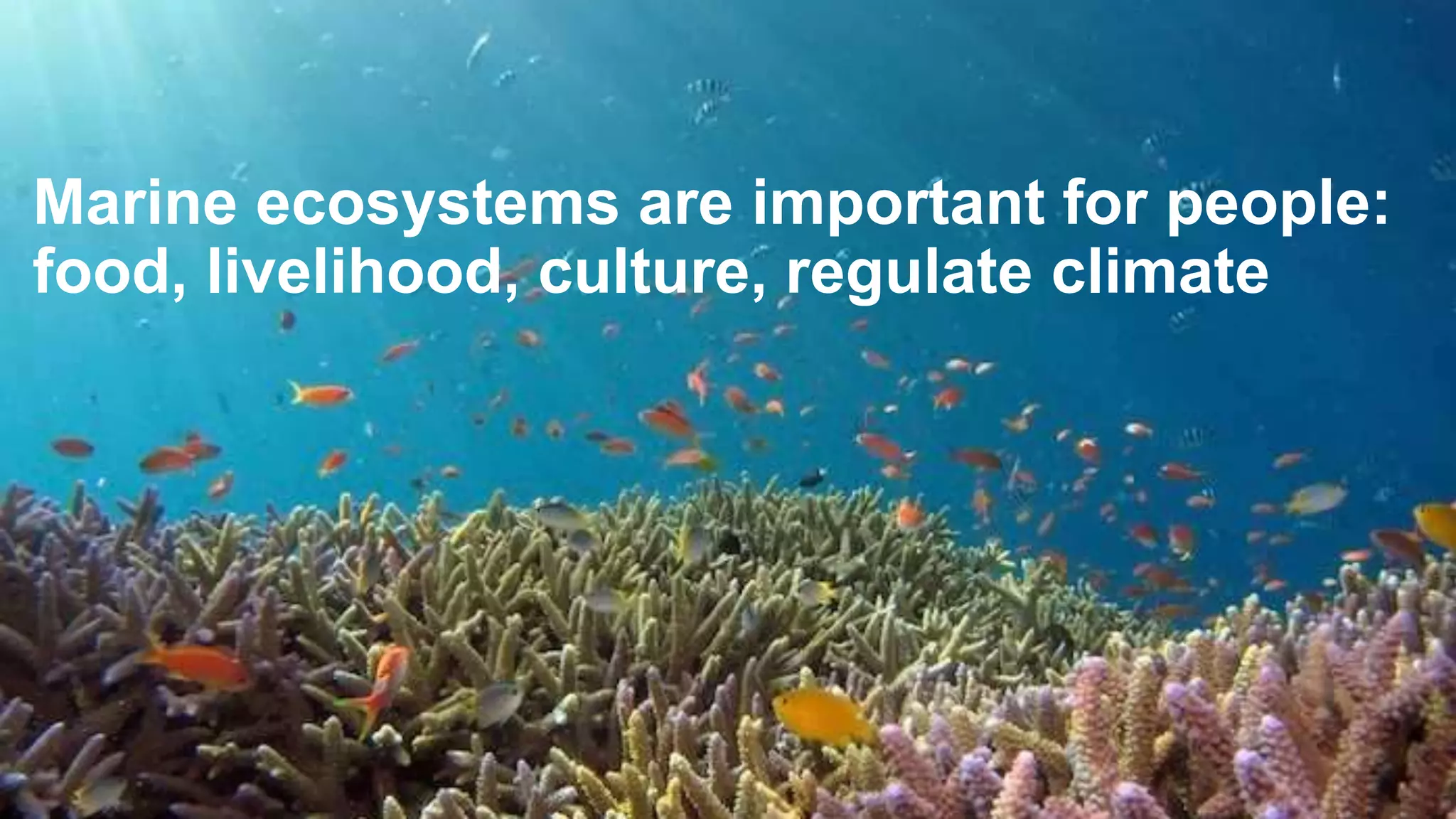 Adaptation limits and vulnerability: Marine Ecosystems, Fisheries | PPTX