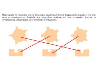 ΜΕΤΑΔΟΤΙΚΕΣ ΑΣΘΕΝΕΙΕΣ - ΦΕ 2.ppt