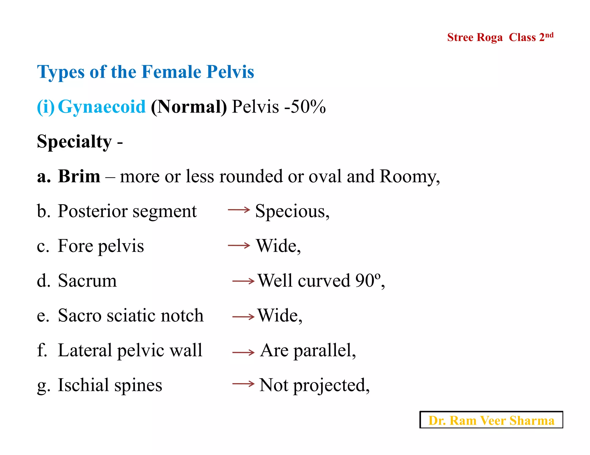 2.1 - The Pelvis PDF.pdf