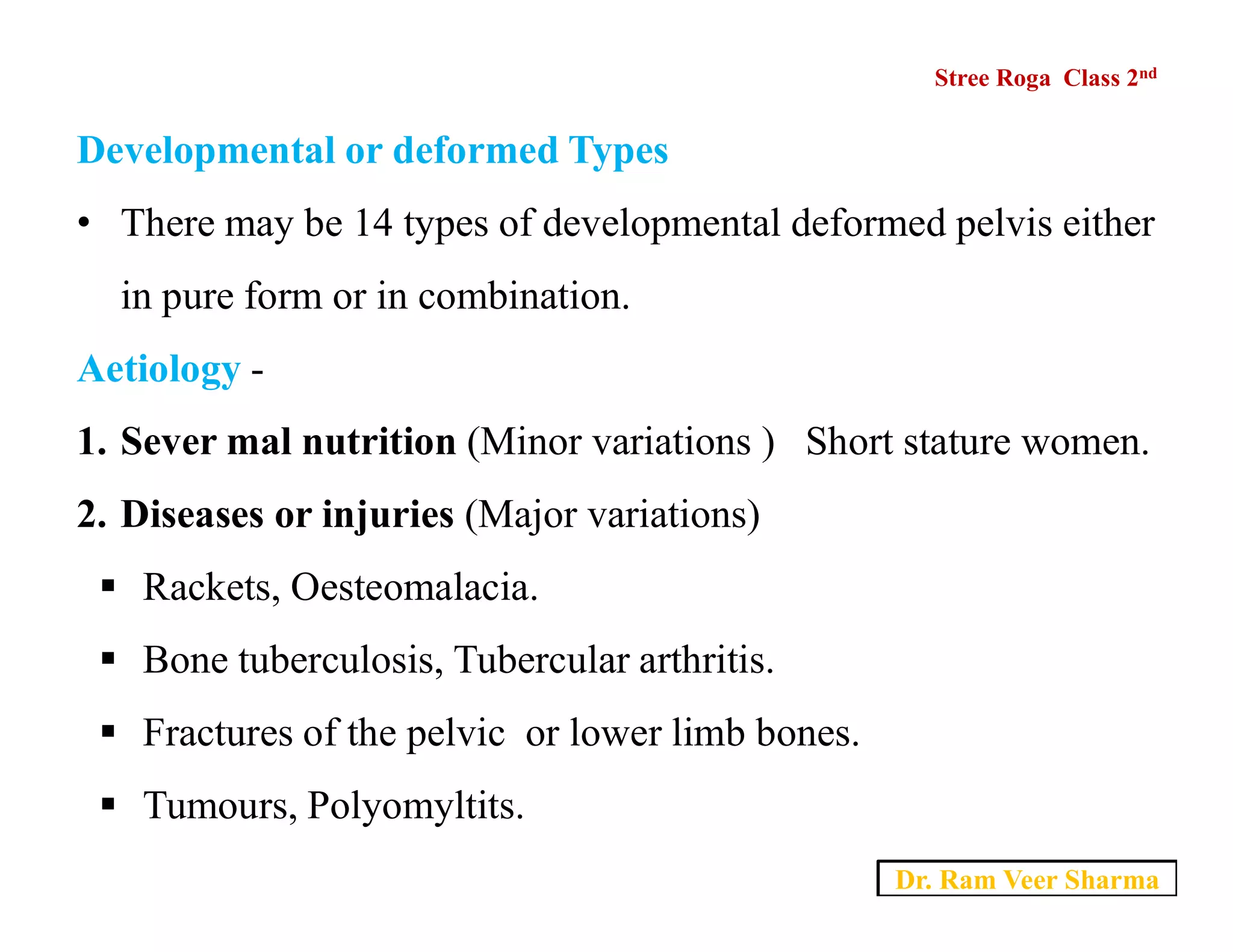 2.1 - The Pelvis PDF.pdf