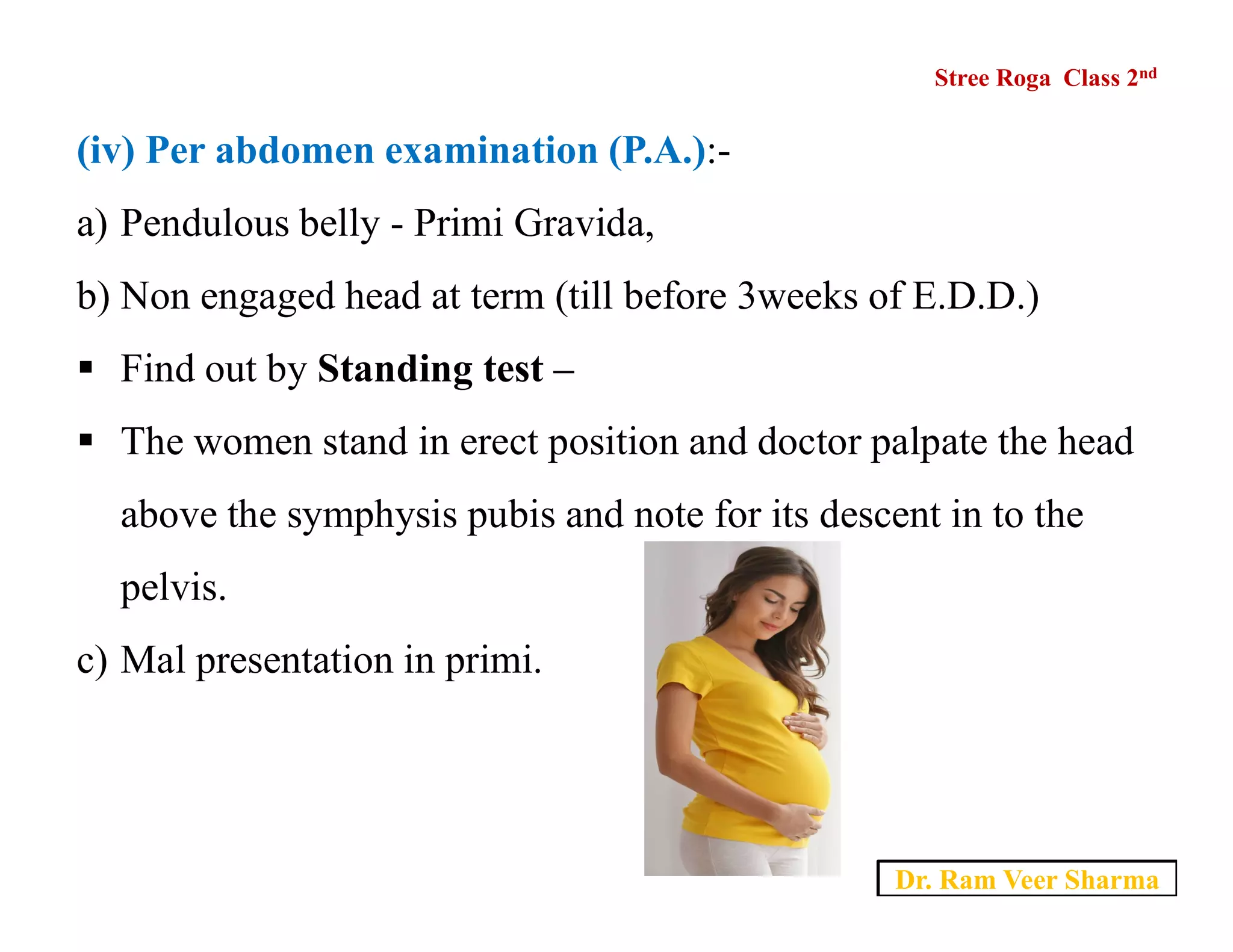 2.1 - The Pelvis PDF.pdf