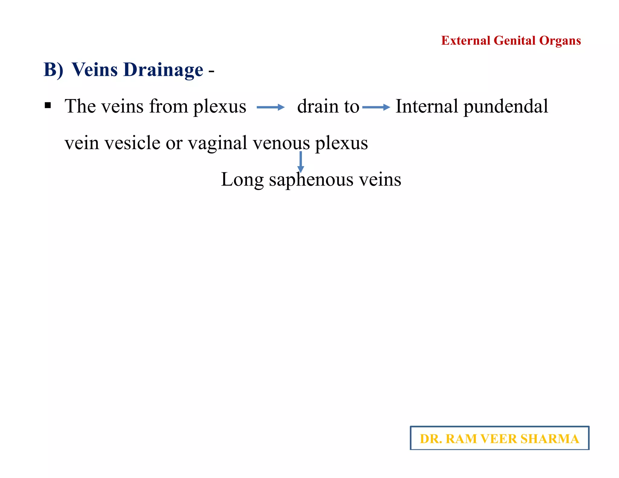 2.2 - External Genital Organs PPF.pdf